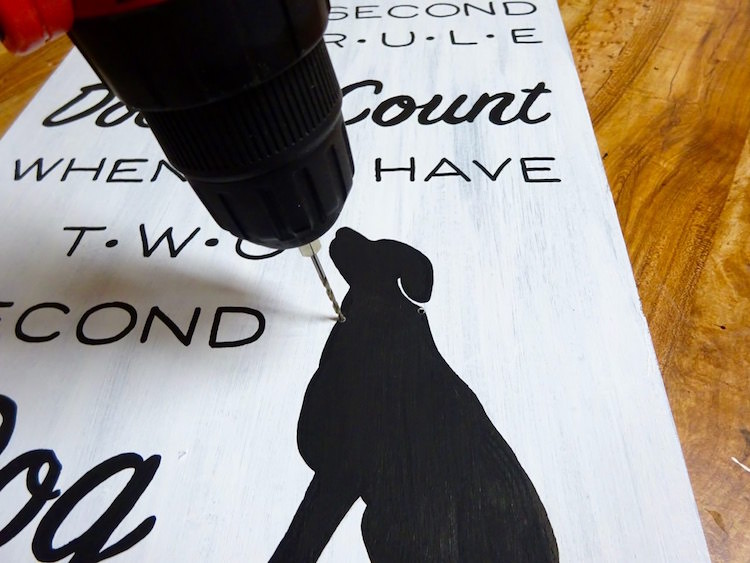 Five Second Rule DIY Dog Sign - Single Girl's DIY