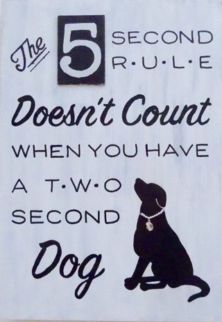 Unleash Your Creativity with this Adorable DIY Dog Sign | Single Girl's DIY