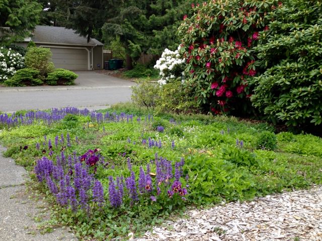 Never Mow Again: Front Yard Lawn Alternatives - Single Girl's DIY