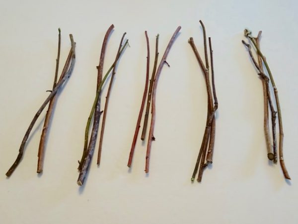 How to Make Rustic Stars Out of Twigs | Single Girl's DIY
