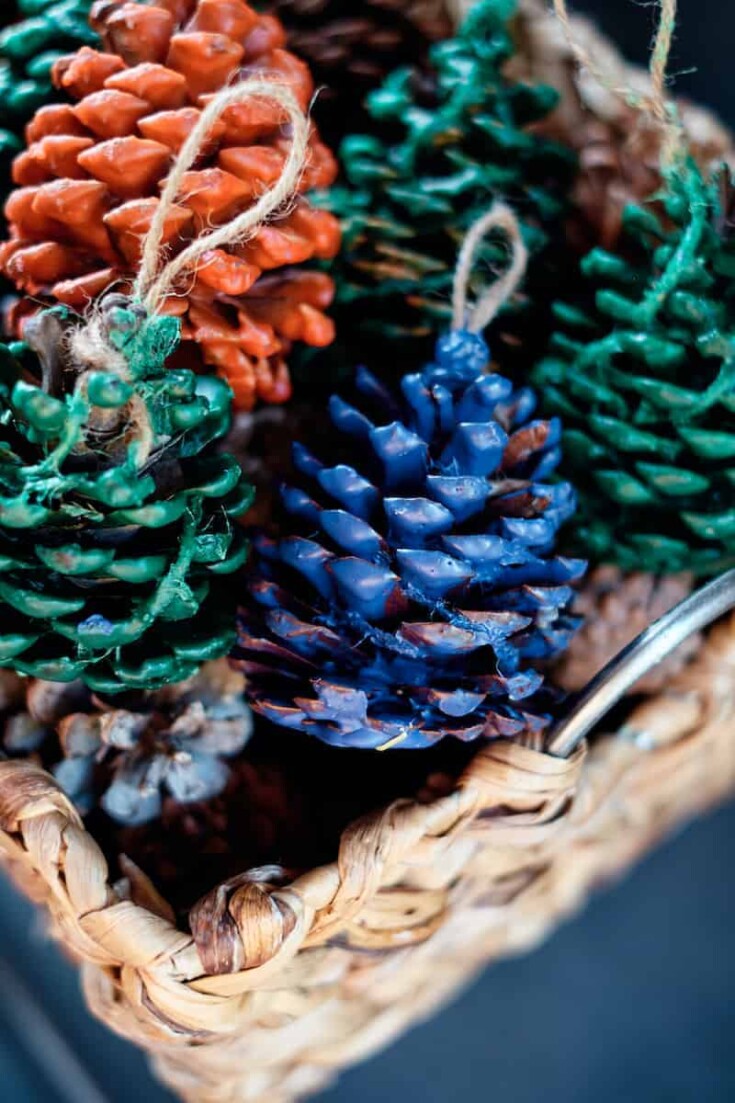 DIY Fire Starter Pinecones - Single Girl's DIY