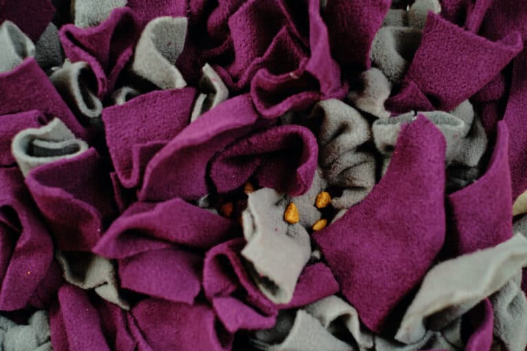 DIY Snuffle Mat for Dogs (3 Easy Steps) - Single Girl's DIY