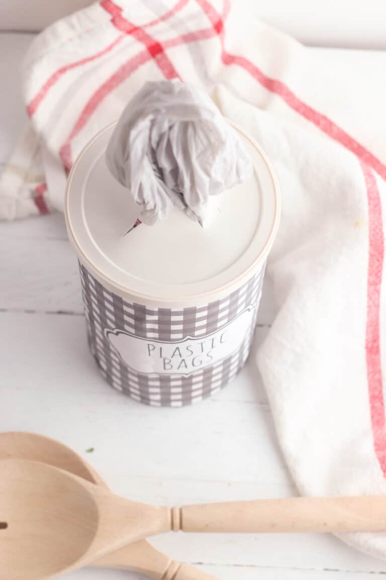 Oatmeal Container Craft: Plastic Grocery Bag Holder - Single Girl's DIY