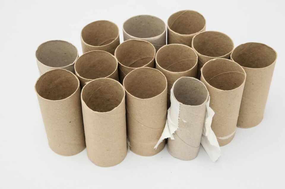 Toilet Paper Tube Crafts for Adults - Single Girl's DIY