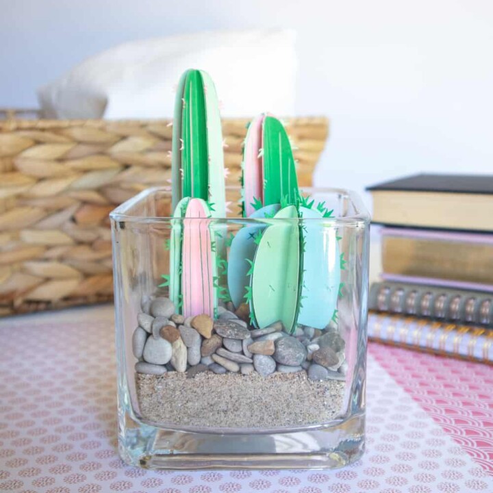 DIY Paper Cactus Terrarium with Cricut Maker - Single Girl's DIY
