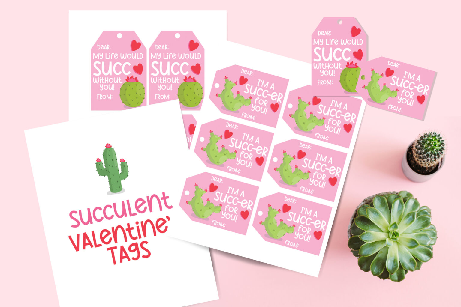 Free Valentine's Day Gift Tags for Succulents - Single Girl's DIY