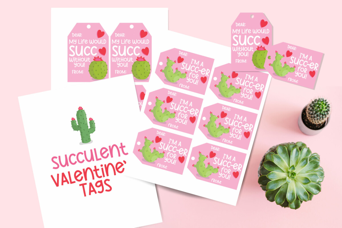 Free Valentine's Day Gift Tags for Succulents - Single Girl's DIY