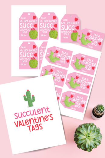 Free Valentine's Day Gift Tags for Succulents - Single Girl's DIY