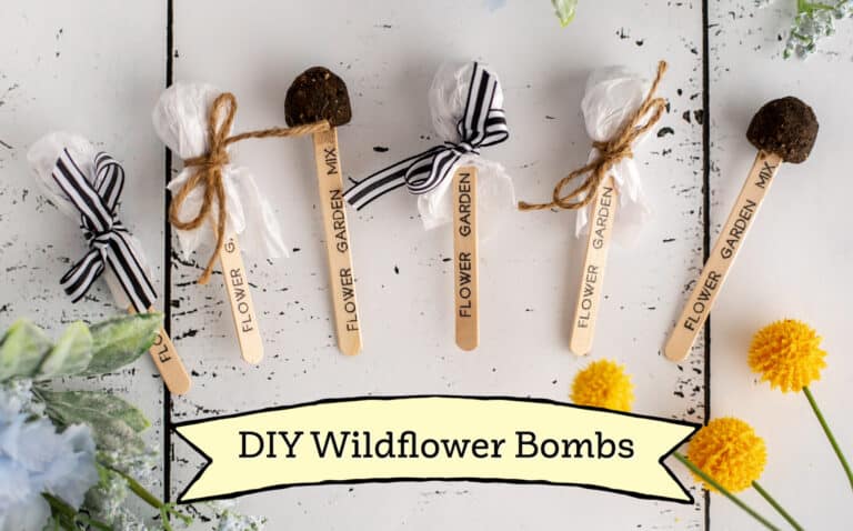 DIY Wildflower Seed Bombs on a Stick - Single Girl's DIY