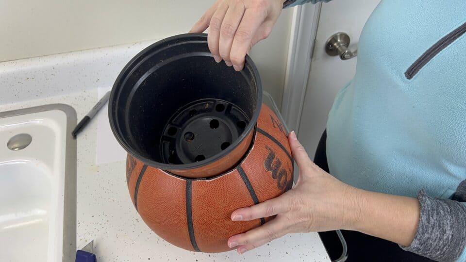 DIY Basketball Planter - Single Girl's DIY