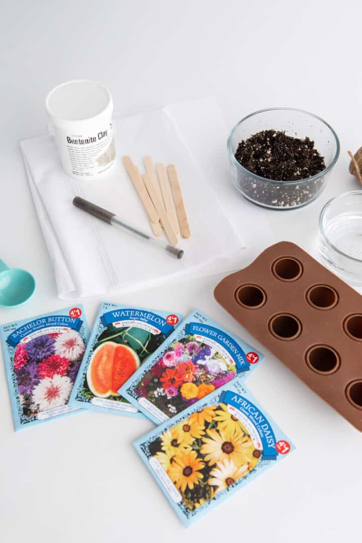 DIY Wildflower Seed Bombs on a Stick - Single Girl's DIY