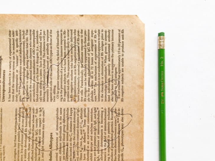 How to Make Glittery Book Page Leaves - Single Girl's DIY