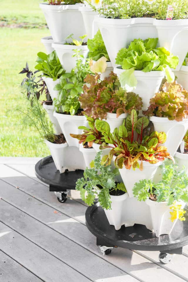 DIY Plant Caddy: Rolling Plant Base With Wheels - Single Girl's DIY