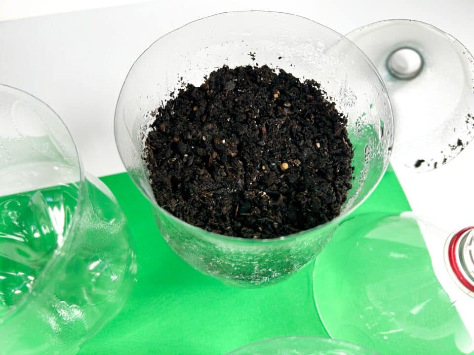 DIY Soda Bottle Greenhouse: How to Start Seeds in a 2 Liter Plastic ...