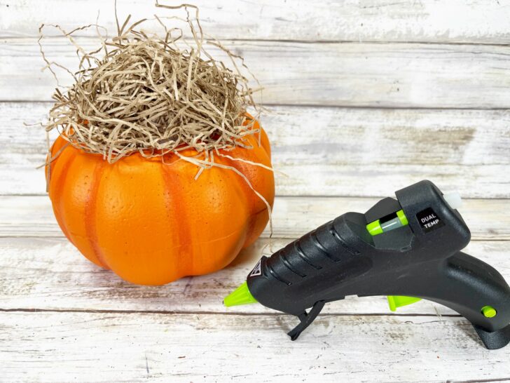Succulent Pumpkin (Dollar Tree DIY) - Single Girl's DIY