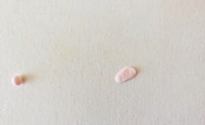 DIY Clay Fox (Step by Step Photo Tutorial) - Single Girl's DIY