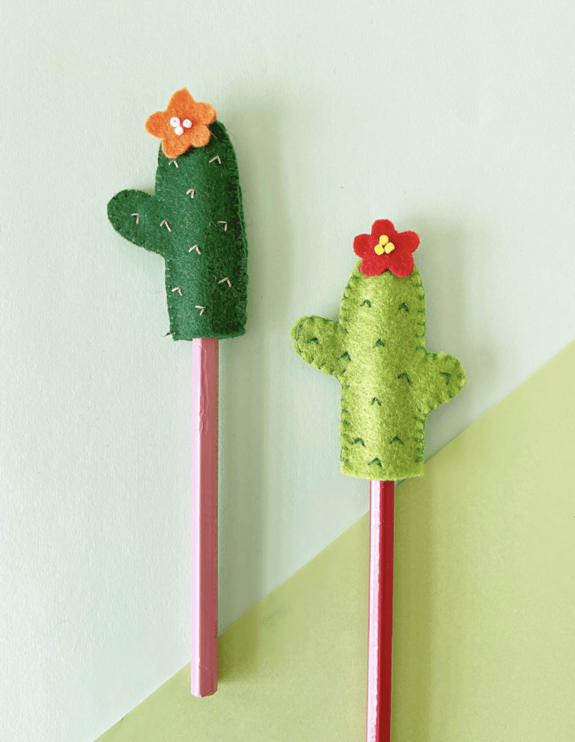 DIY Cactus Crafts - Single Girl's DIY