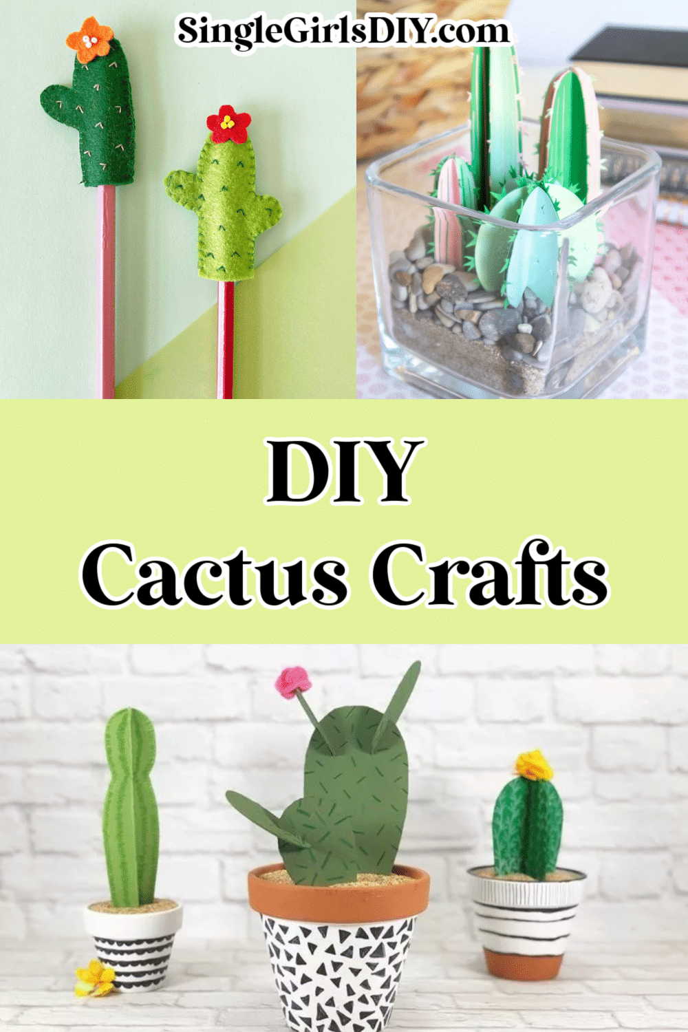 DIY Cactus Crafts - Single Girl's DIY