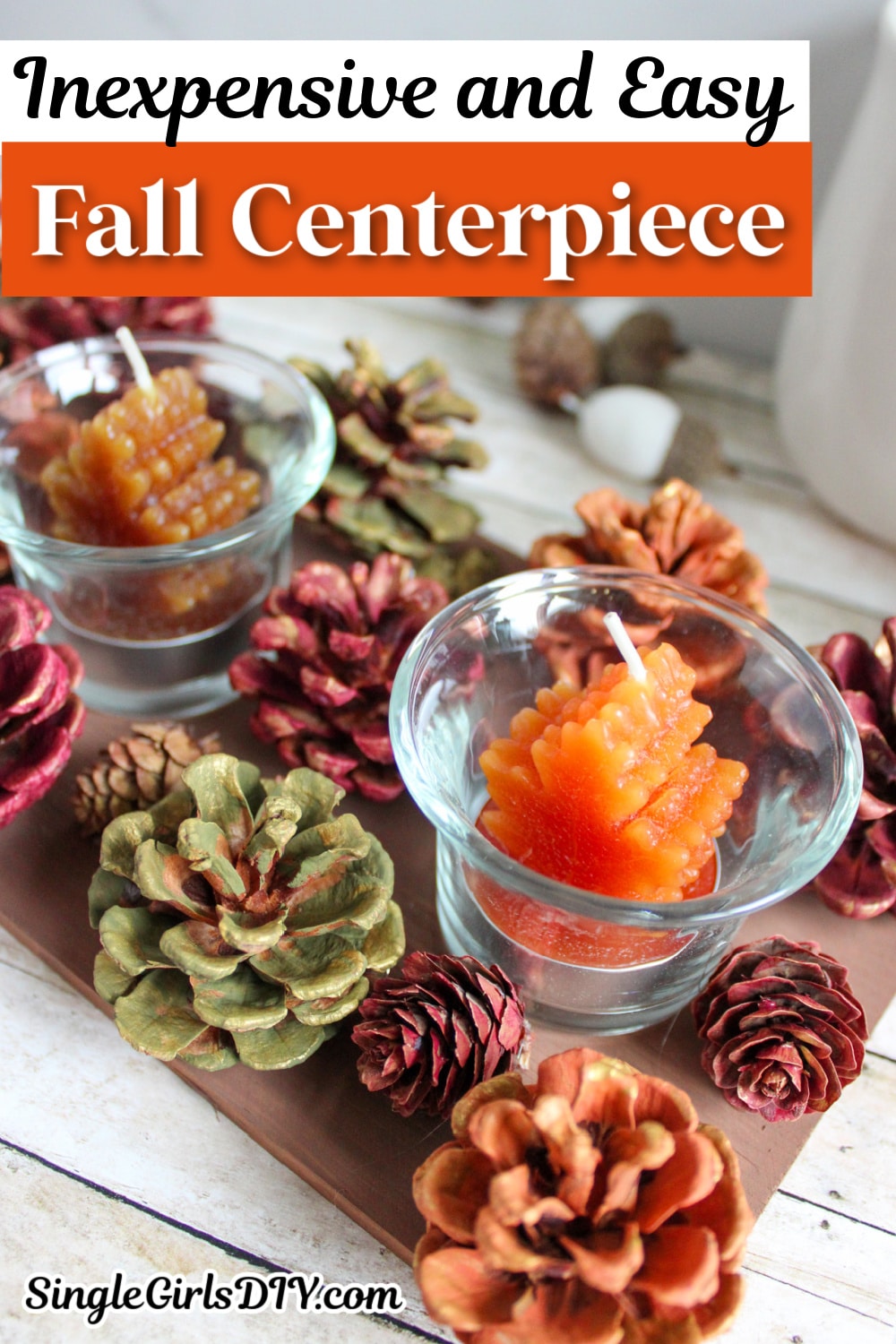 Fall Pinecone Table Centerpiece - Single Girl's DIY